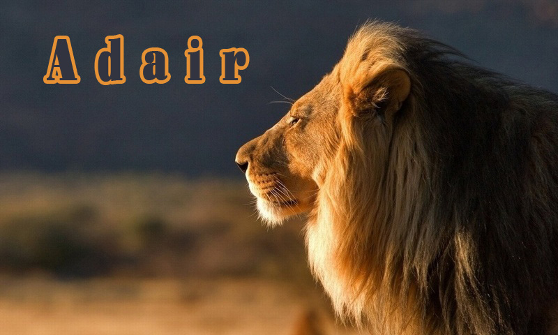 Pictures with name Adair.